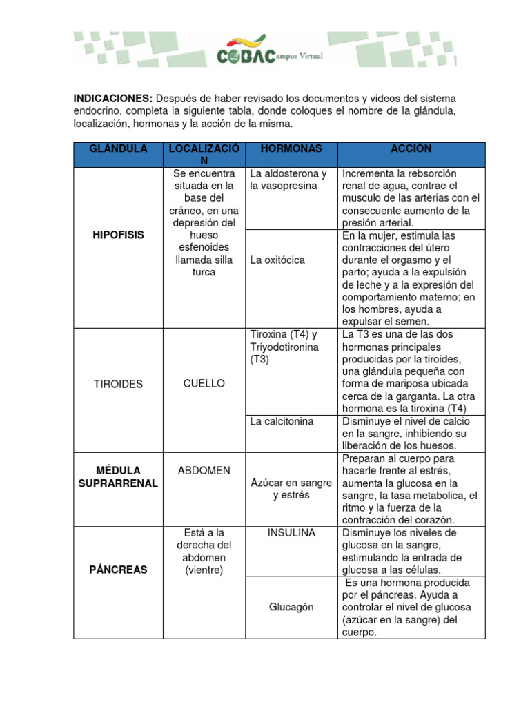 BLopezH CEMB BIOLOGIA Grupo Actividad2 | PDF | Glándula suprarrenal | Hormona