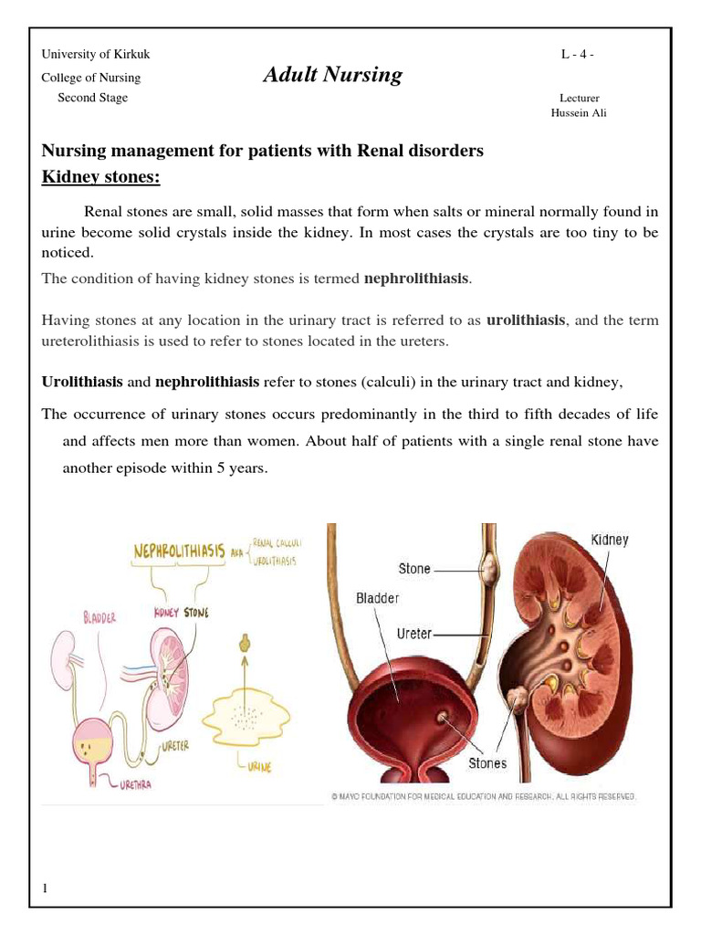 Renal Stone and Renal Failure | PDF | Chronic Kidney Disease | Kidney