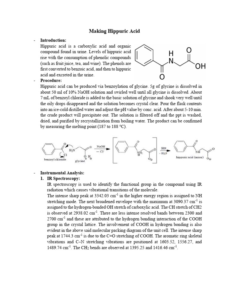 Making Hippuric Acid | PDF | Acid | Carboxylic Acid