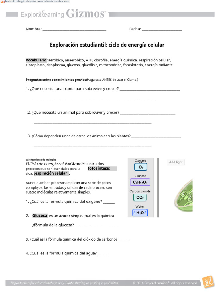 Lección 2 - Ciclo de Energía Celular | PDF | Respiración celular | Trifosfato de adenosina