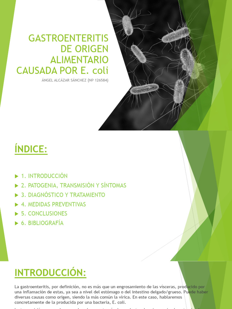 TRABAJO MICRO E. Coli | PDF | Escherichia coli | Diarrea