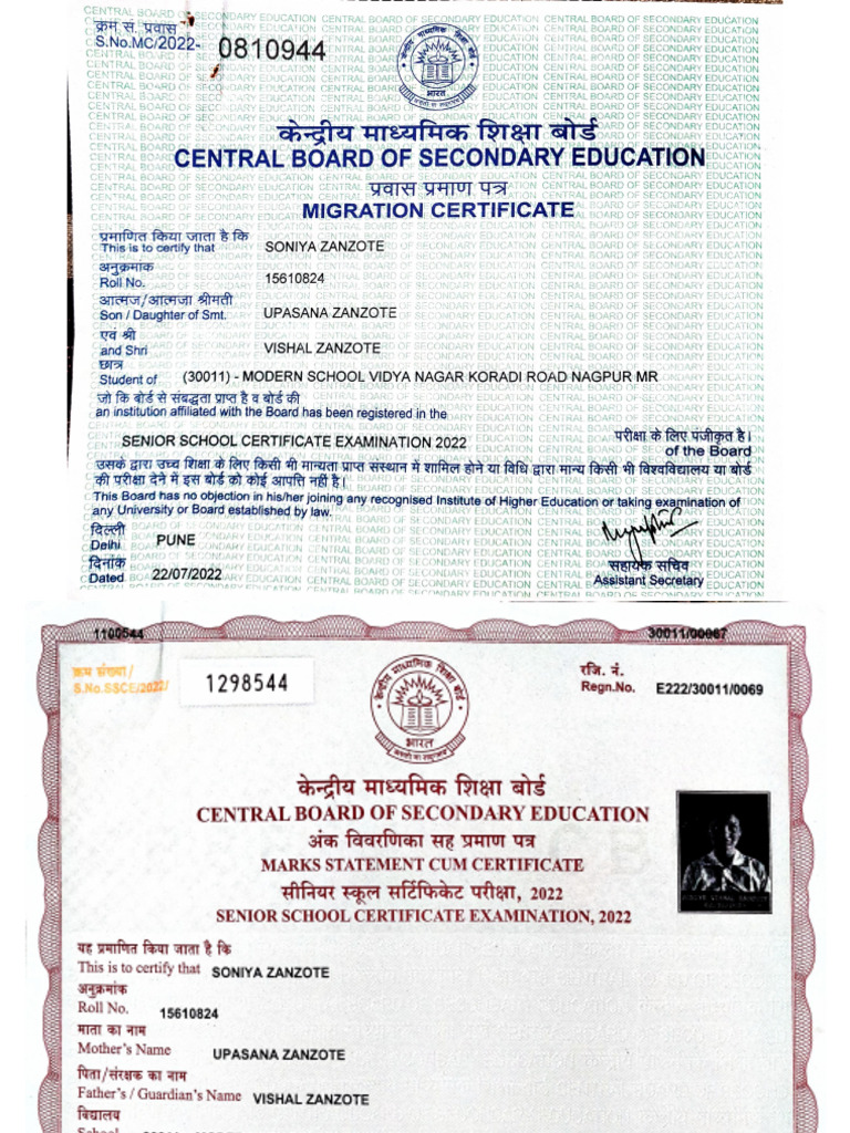 Senior School Certificate Examination | PDF