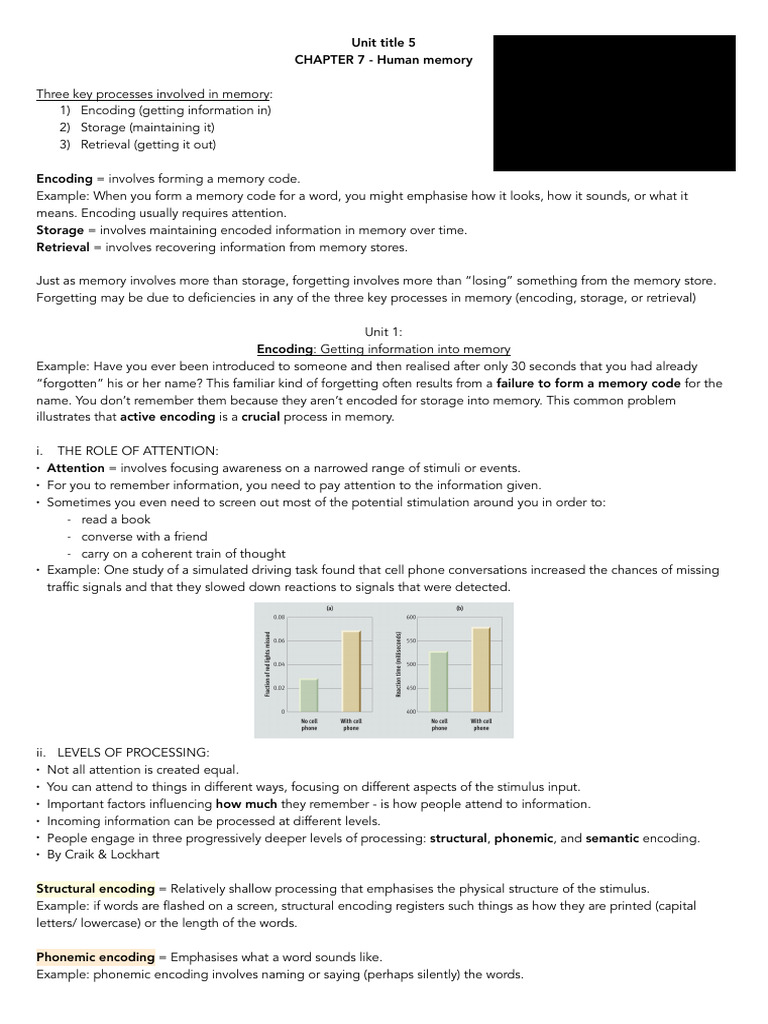 Understanding Short-Term Memory | PDF | Memory | Recall (Memory)