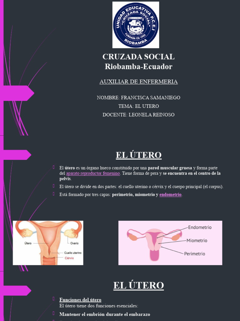 Utero | PDF | Útero | Cáncer de cuello uterino