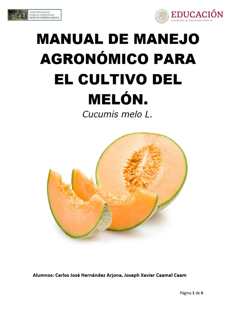 Manual de Cultivo del Melón | PDF | Tallo de la planta | Hoja