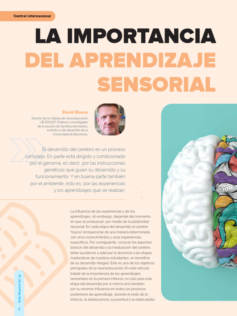 2 La Importancia Del Aprendizaje Sensorial | PDF | Cerebro | Neurona