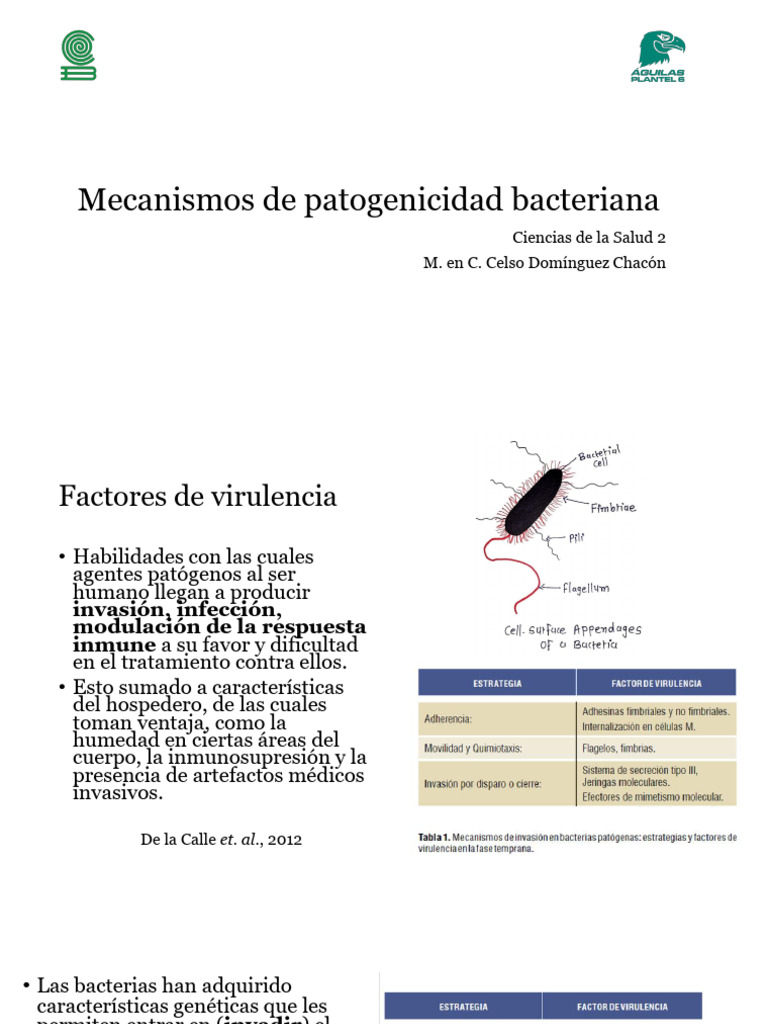09 - Mecanismos de Patogenicidad Bacteriana | Descargar gratis PDF ...