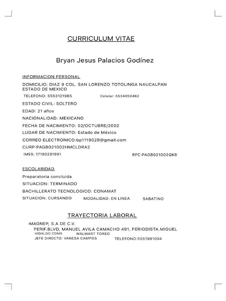 CV Bryan Jesús | PDF