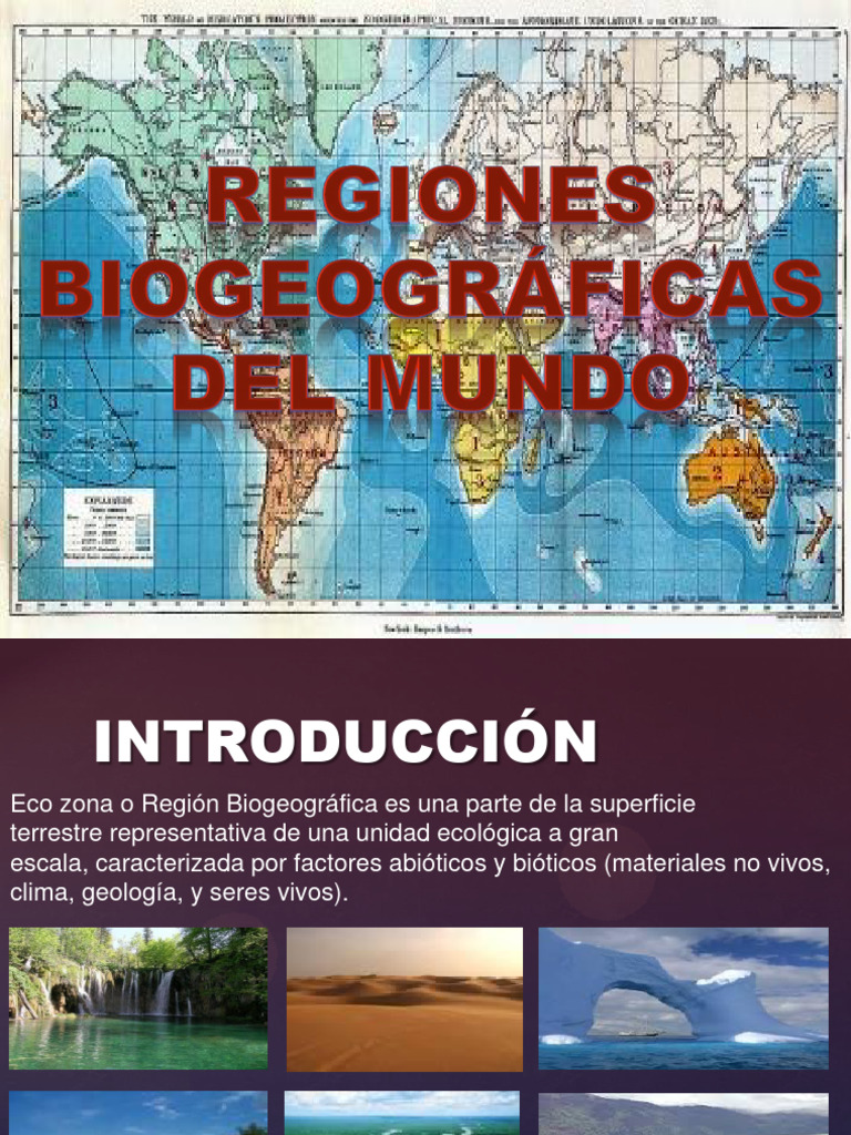 Ecozonas: Flora y Fauna Global | PDF | Antártida | Ciencias de la Tierra
