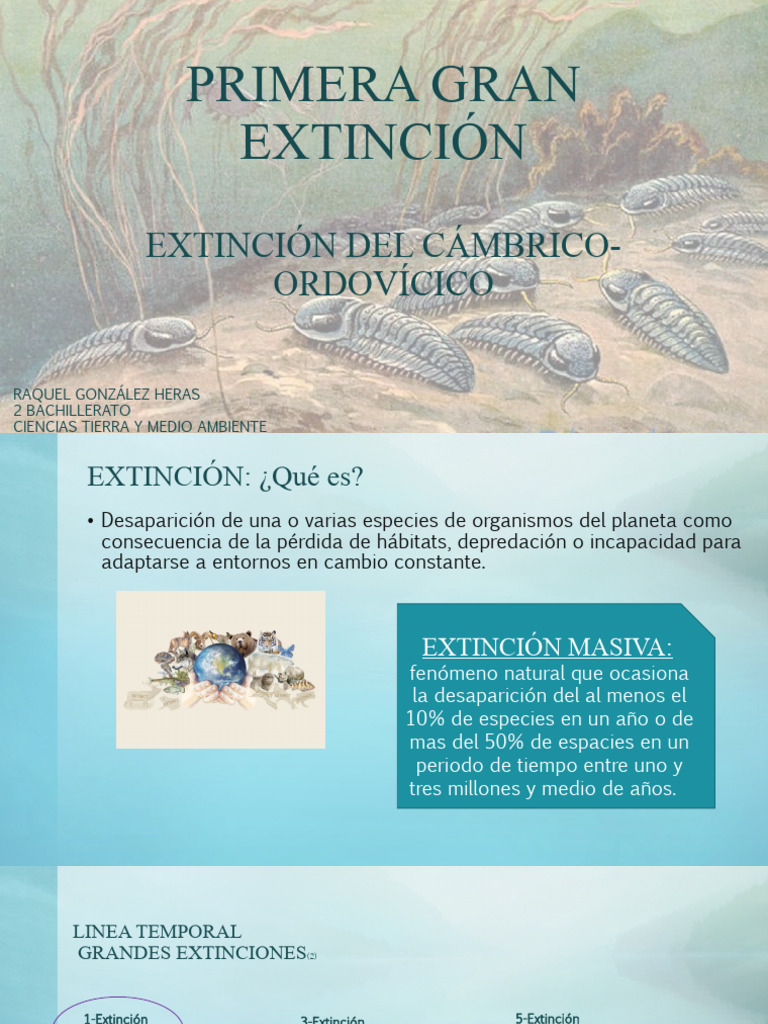 01 - Primera Gran Extinción | PDF | Geología | Ciencias de la Tierra
