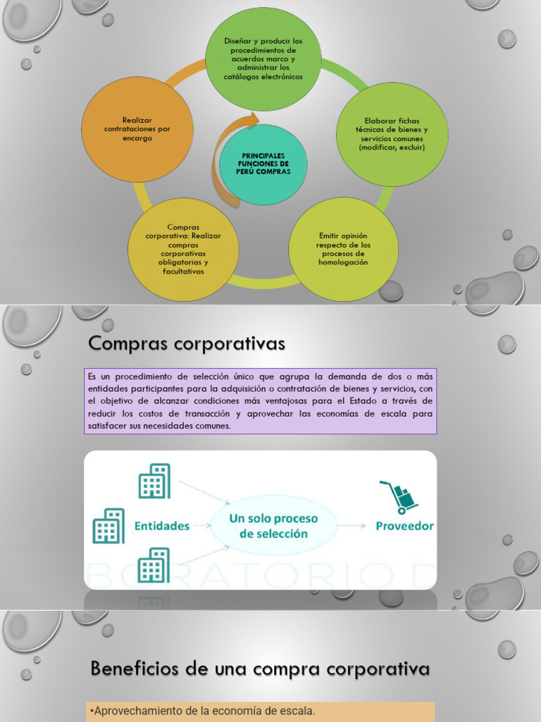Tema Perú Compra | PDF | Subasta | Ciencias económicas