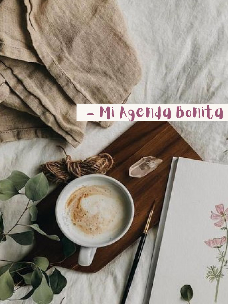 Mi Agenda Bonita | PDF | Pensamiento | Mente