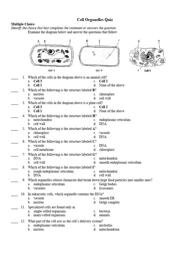 Cell Organelles Quiz 2 | PDF | Cell (Biology) | Endoplasmic Reticulum