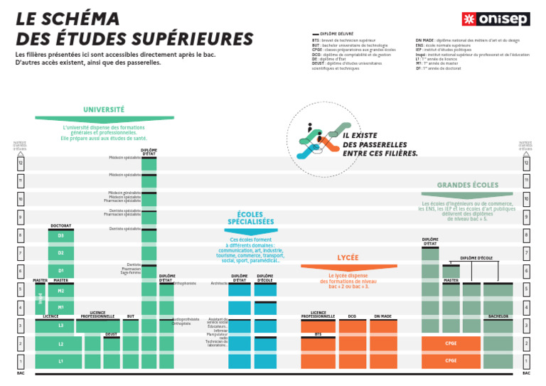 Schema Etudes Superieures | PDF | Pharmacien | Enseignement professionnel