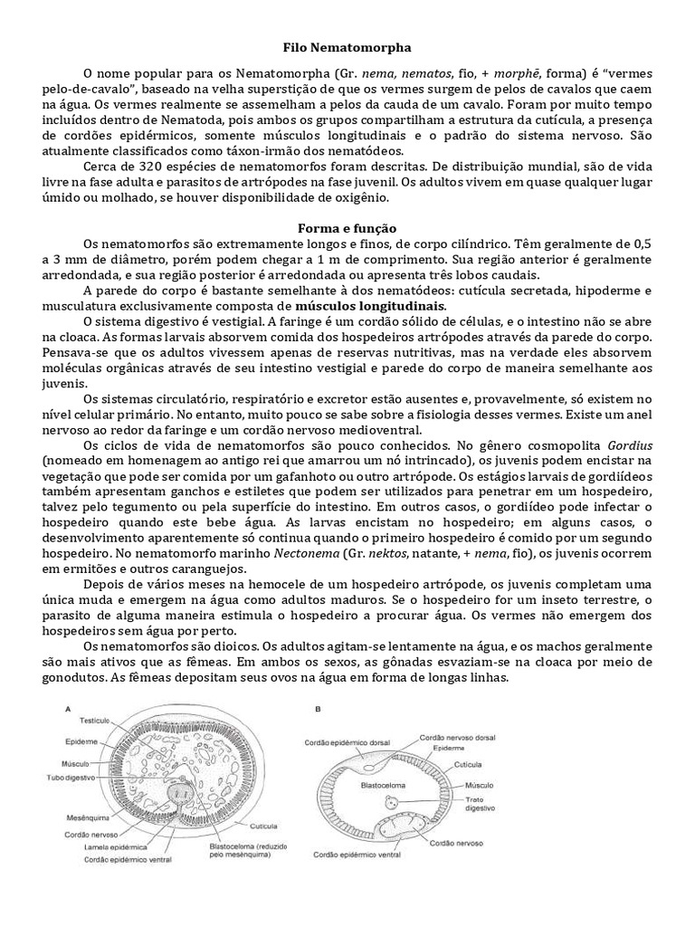 002 Ecdysozoa - Filo Nematomorpha | PDF | Nematoda