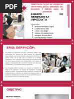 ERIO | PDF | Enfermería | Hospital
