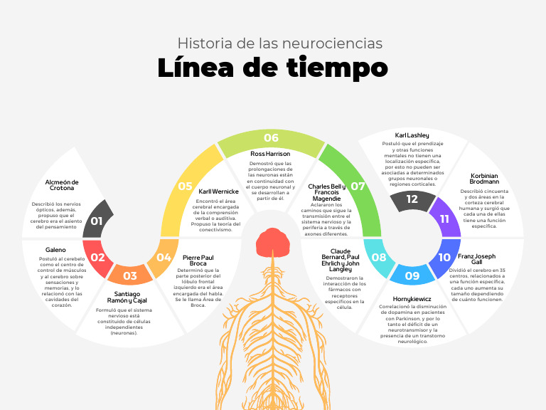 Historia de Las Neurociencias | PDF | Cerebro | Neurociencia