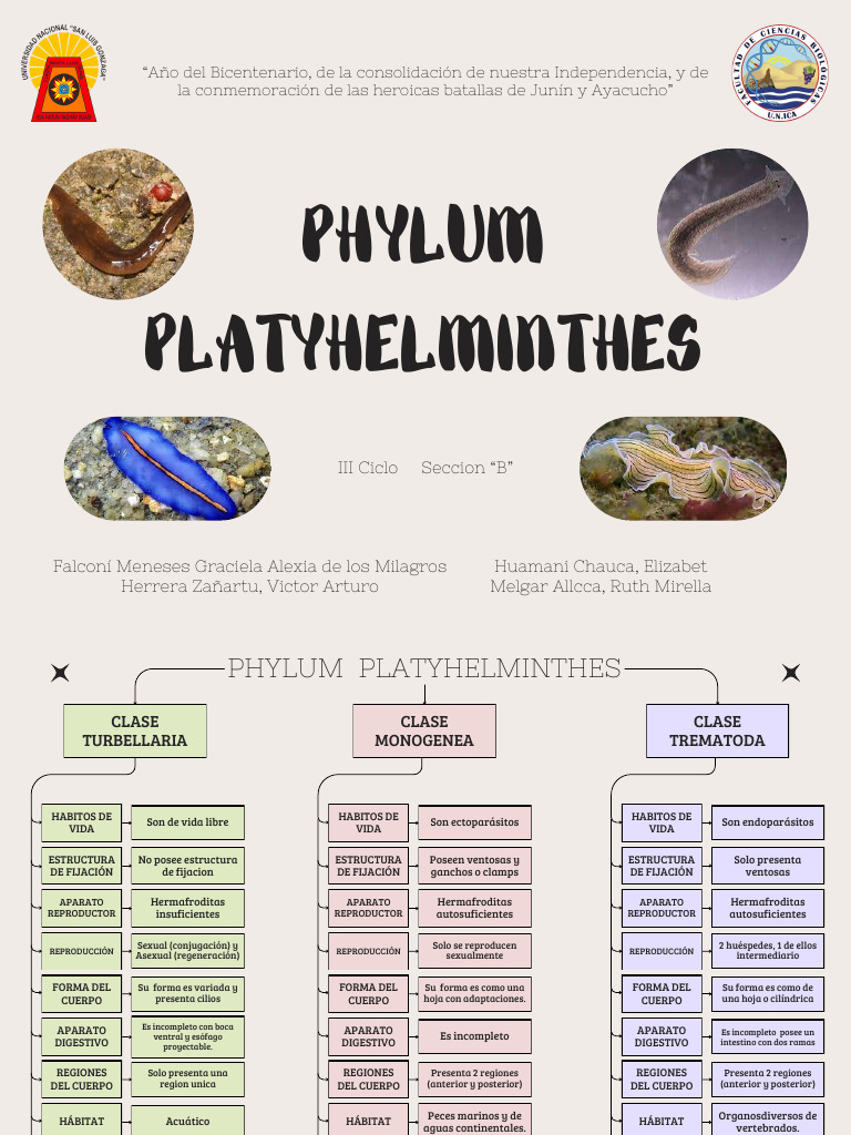 Botulus microporus en Platyhelminthes | PDF | Protostomas | Biología
