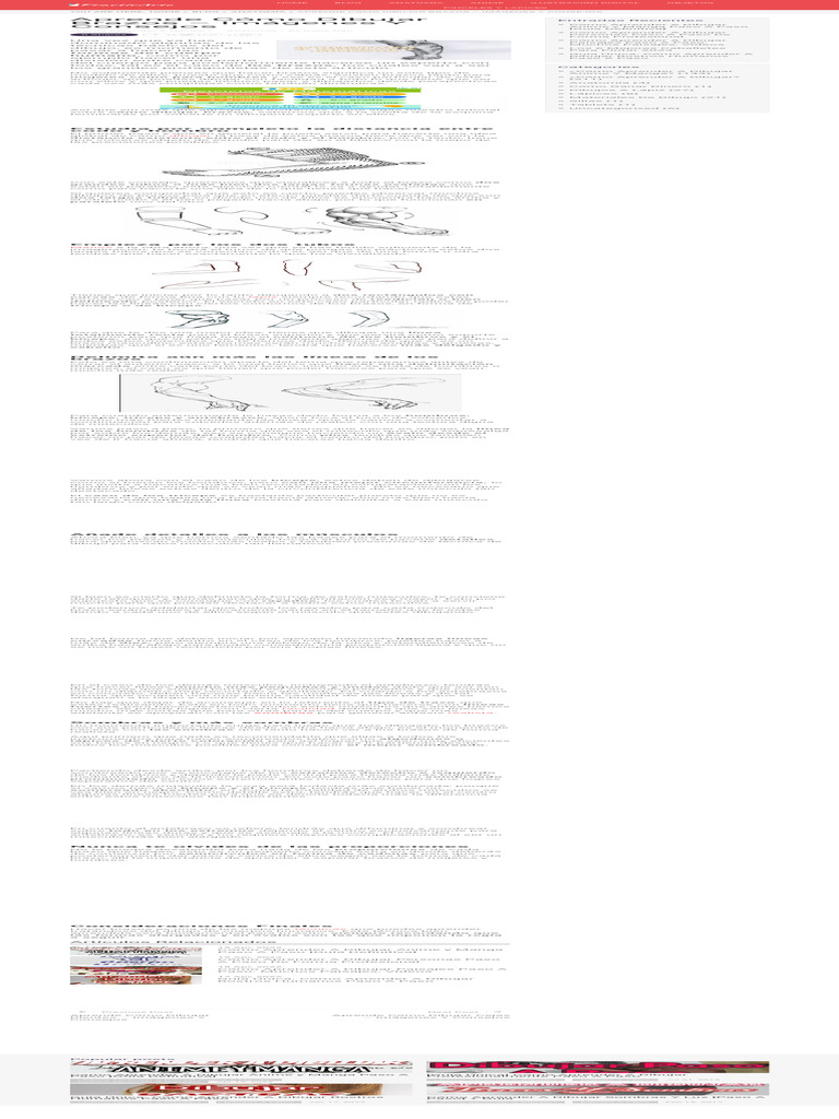 Aprende Cómo Dibujar Brazos - Imágenes Y Consejos | PDF | Anime | Dibujo