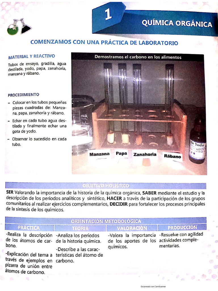 Tema - Qu-Mica Org-Nica | PDF