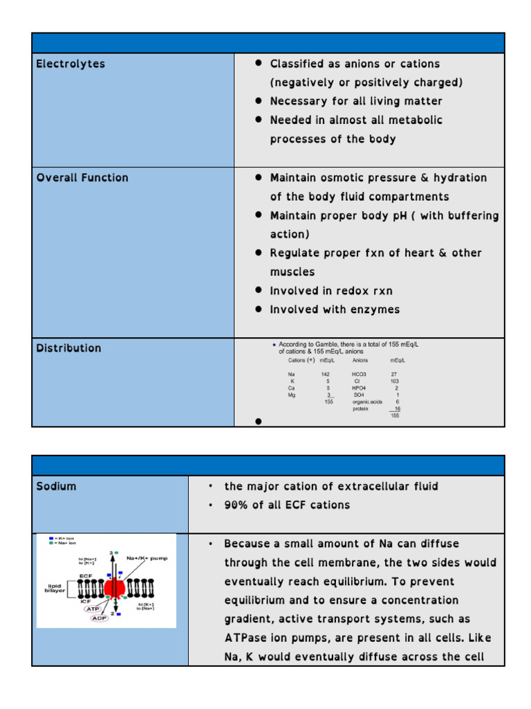 Electrolytes | PDF