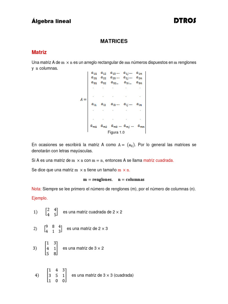 MATRICES | PDF | Matriz (Matemáticas) | Conceptos matemáticos