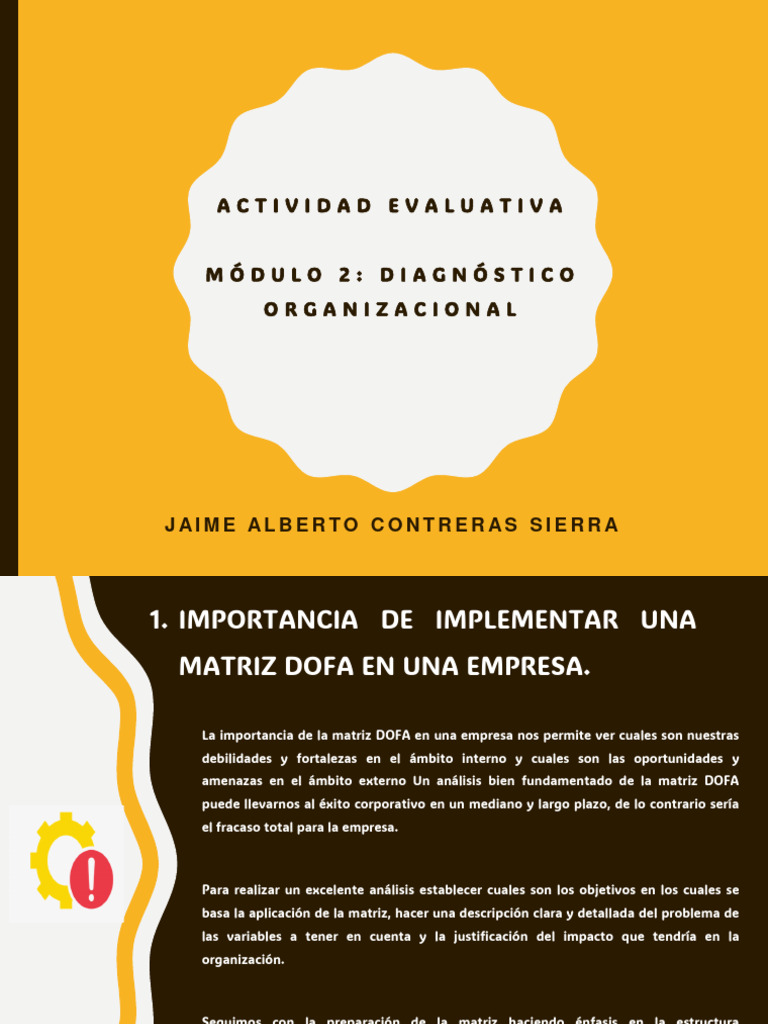 Actividad Evaluativa Modulo 2 - Jaime Contreras Sierra | PDF | Análisis FODA | Economias