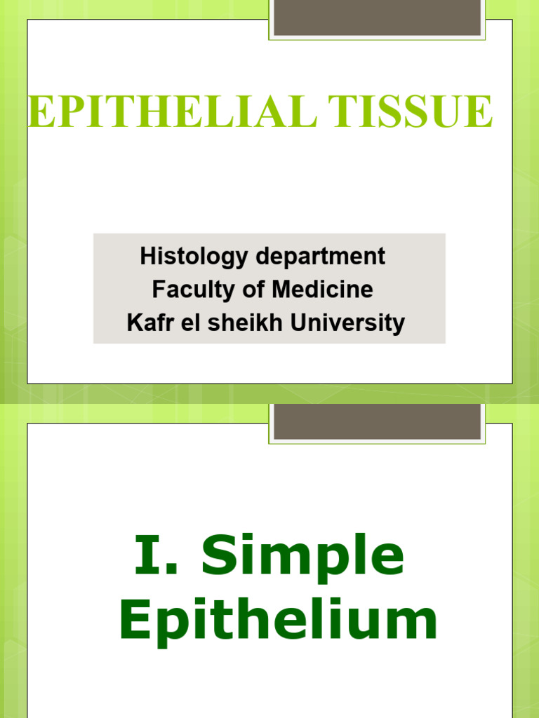2 Epithelium 2016 Pdf