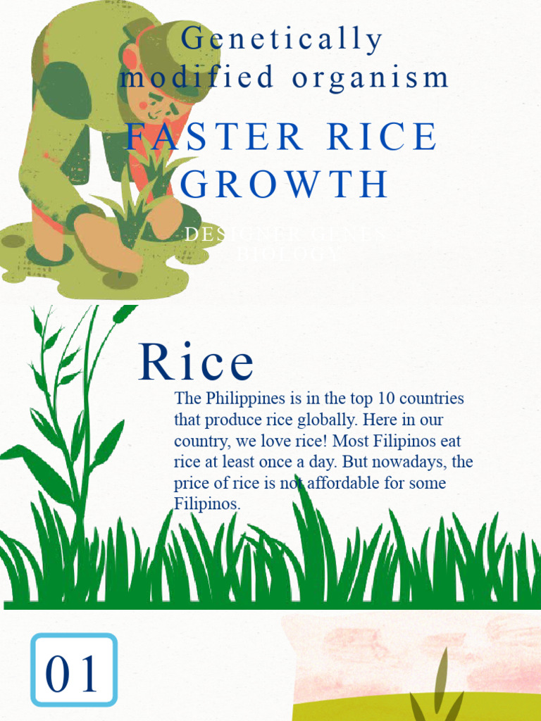 Gmo 2 | PDF | Vitamin C | Genetically Modified Organism