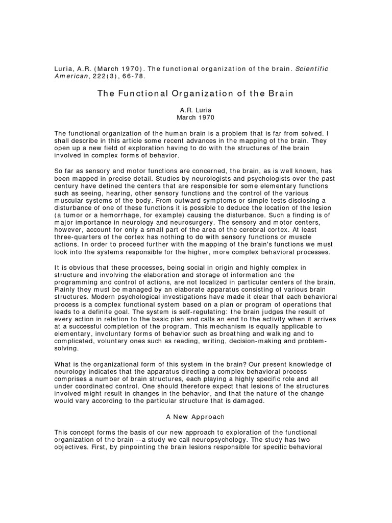 LURIA The Functional Organization of The Brain | PDF | Brain | Cerebral ...
