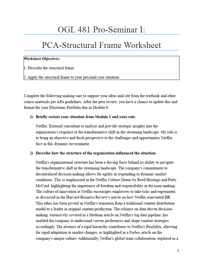 Netflix's Structural Frame Analysis | PDF | Netflix | Organizational ...
