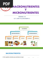 Formulas Poliméricas | PDF | Nutrición | Dieta y nutrición
