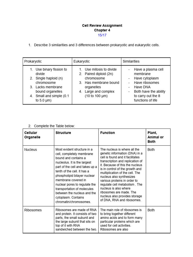 Chapter 4 Cell Review Assignment | PDF | Endoplasmic Reticulum | Cell ...