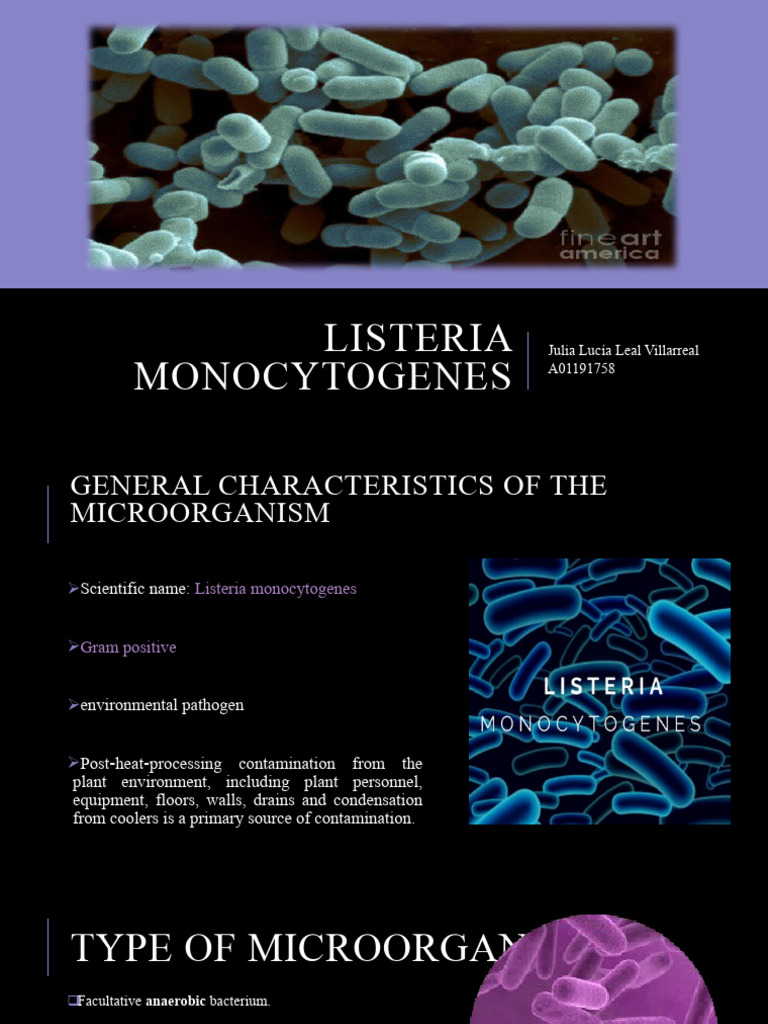 Listeria M | PDF | Immunology | Medical Specialties