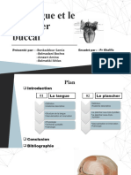 Anatomie du diaphragme stylien | PDF | Tête et cou chez l'humain ...