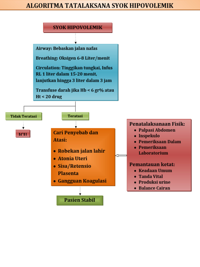 Algoritma Syok Hipovolemik | PDF