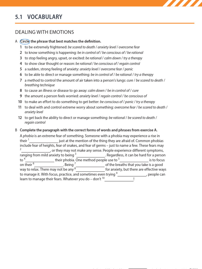 BUS Program Evolve 5 Lesson Plan 5 Handout 1 | PDF | Fear | Anxiety
