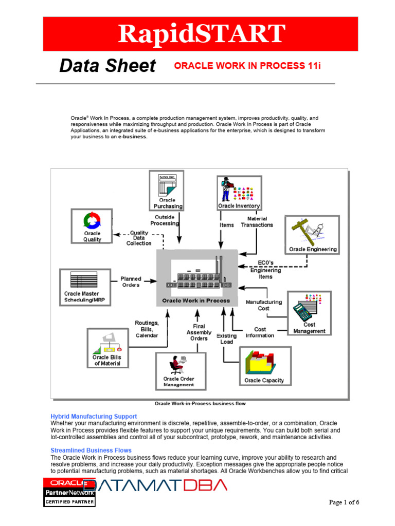 10 ORACLE WORK IN PROCESS 11i | PDF | Software | Computing