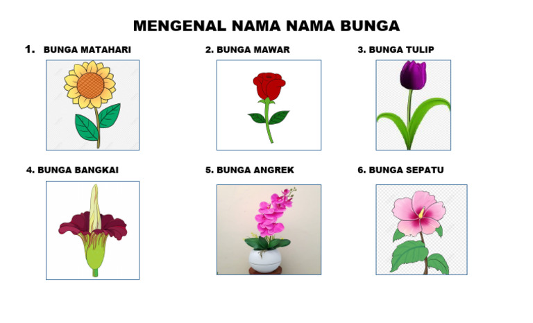 Mengenal Nama Nama Bunga | PDF