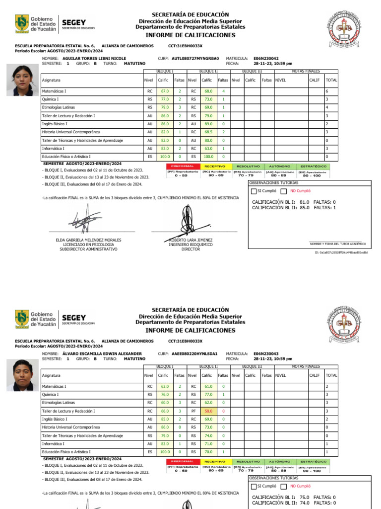 Informe de Calificaciones | PDF