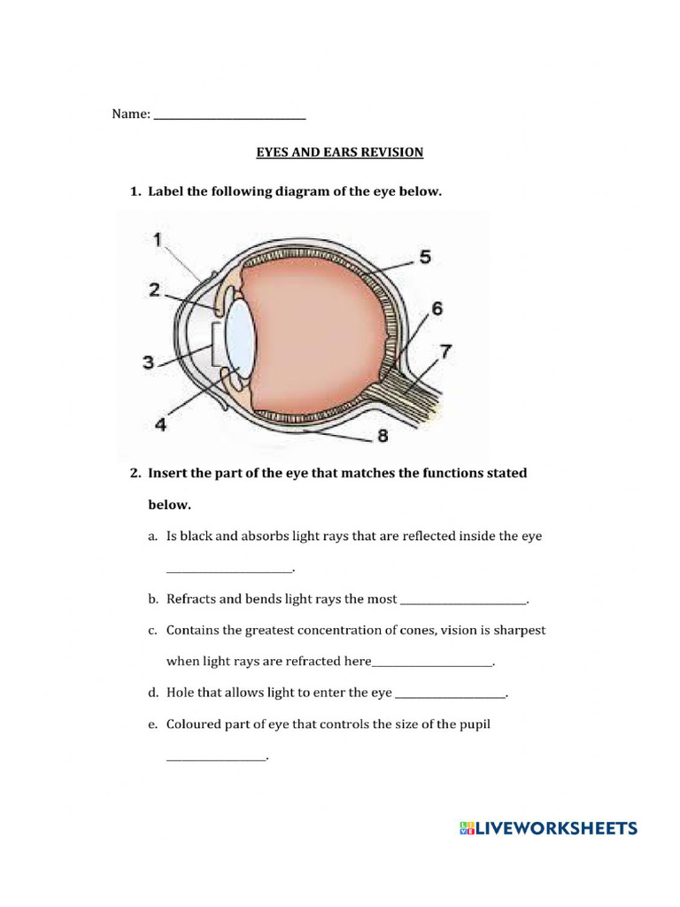 Eyes and Ears Worksheets | PDF