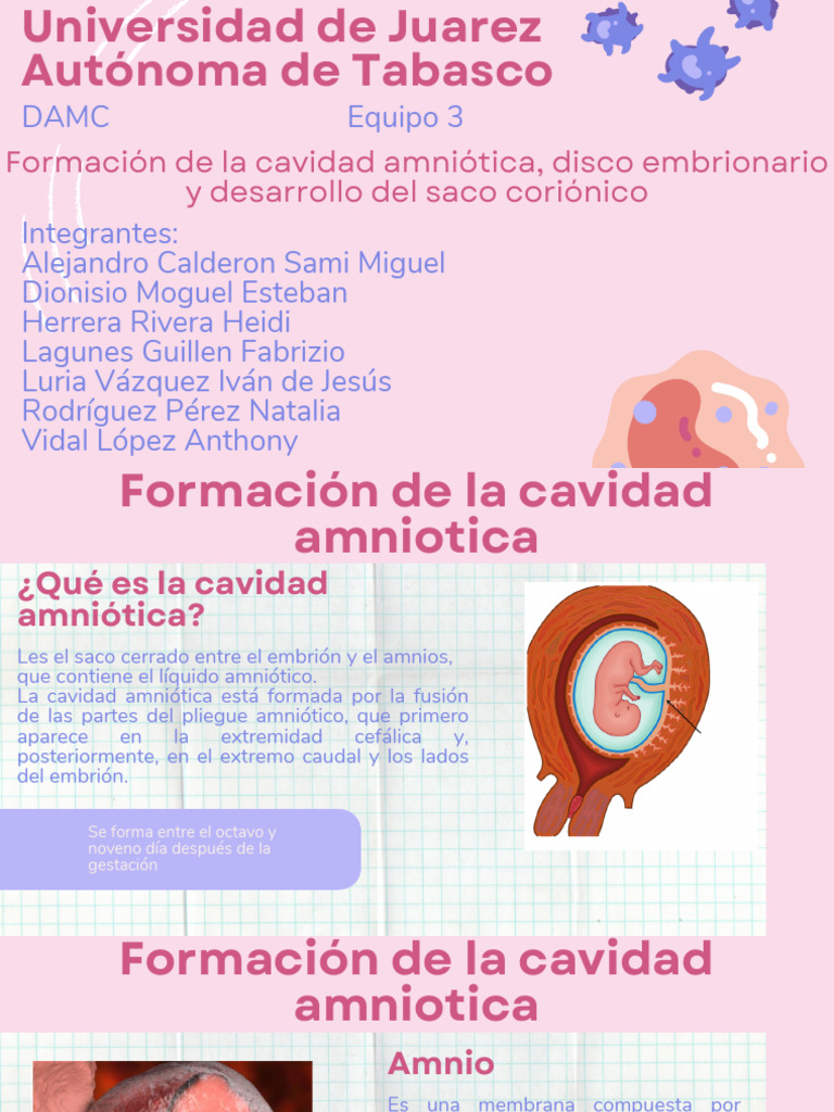 Formación de Cavidad Amniótica y Disco Embrionario | PDF | Embrión ...