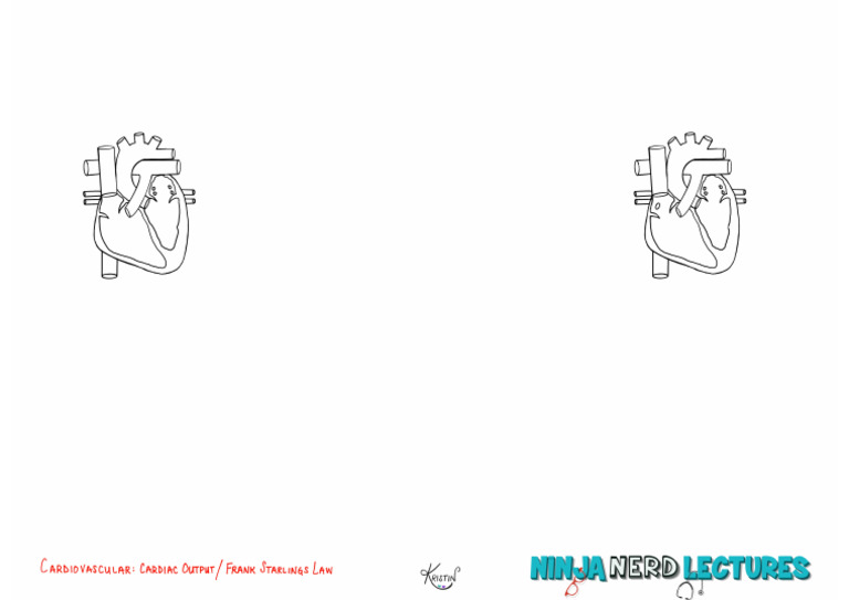 Cardiovascular Physiology) 09 Cardiac Output - Handout | PDF