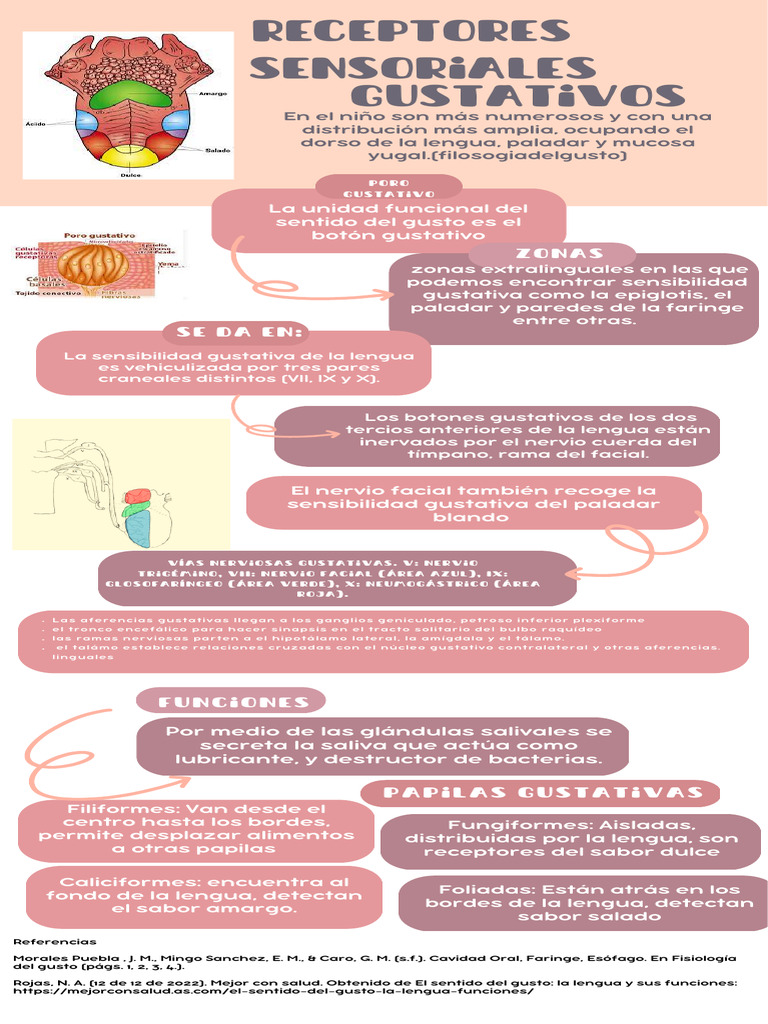 Funciones y Estructura del Gusto | PDF | Gusto | Lengua