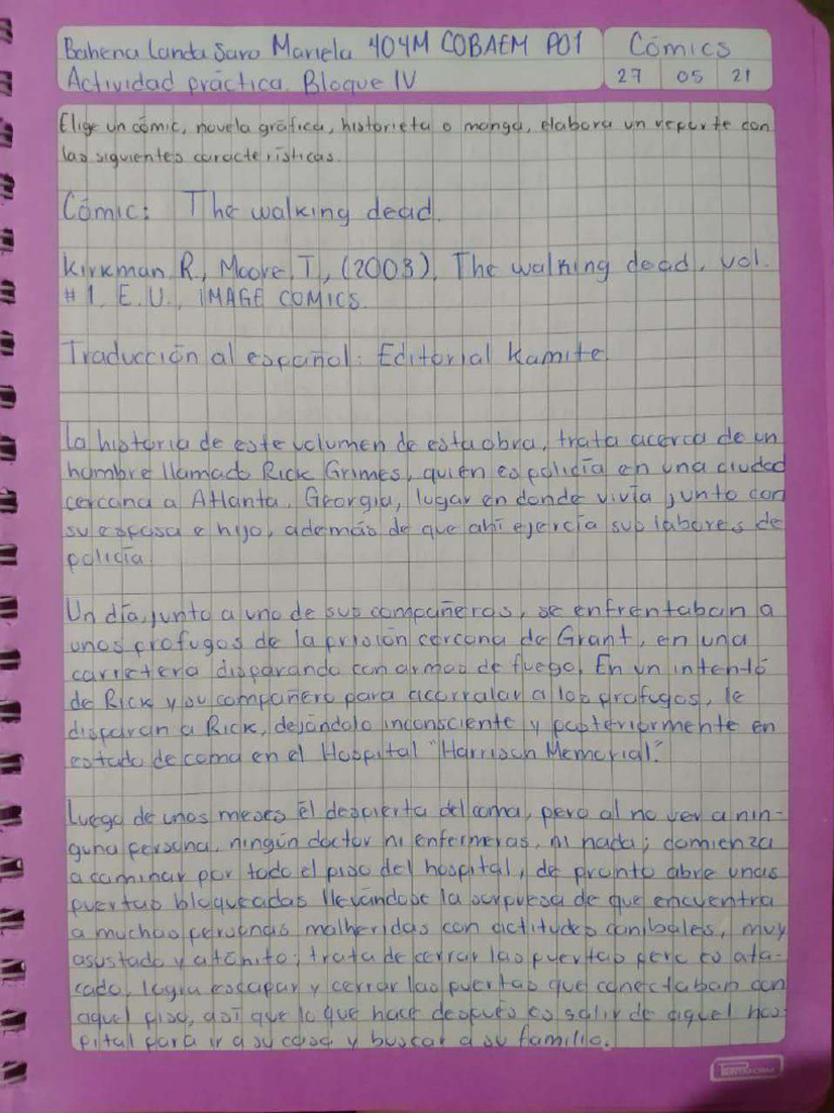 Bahena Landa Sara Mariela 404M - Actividad Práctica BIV | PDF