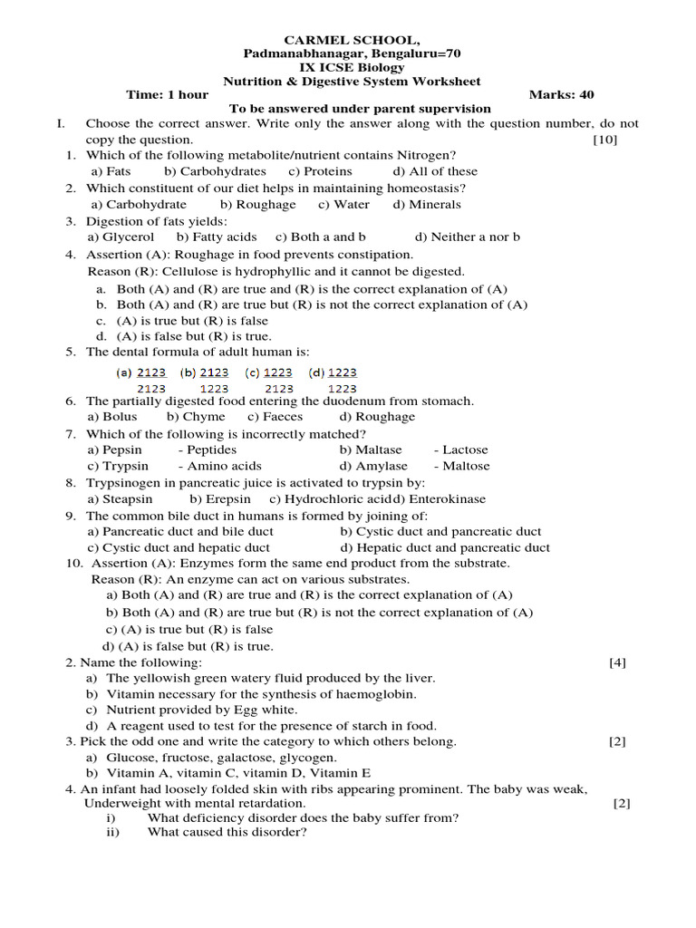 Grade 9 Nutrition & Digestion Worksheet | PDF | Digestion | Human ...