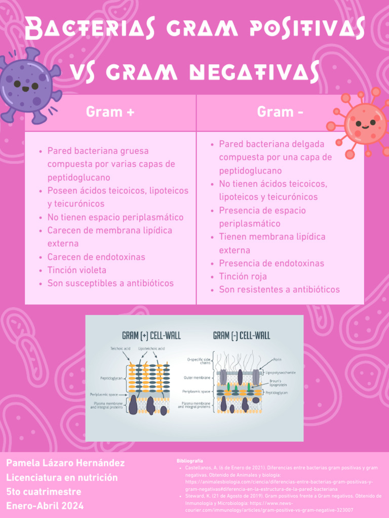 Gram Positivas Vs Gram Negativas | PDF