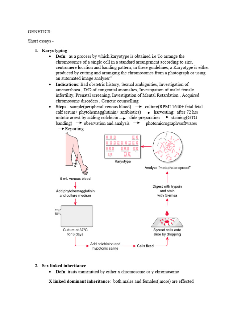 Genetics Q & A | PDF | Chromosome | Genetics