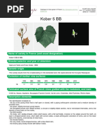 Class-X - Nsat - 2019 - QP KS PDF Sample Paper (Narayana) | PDF ...