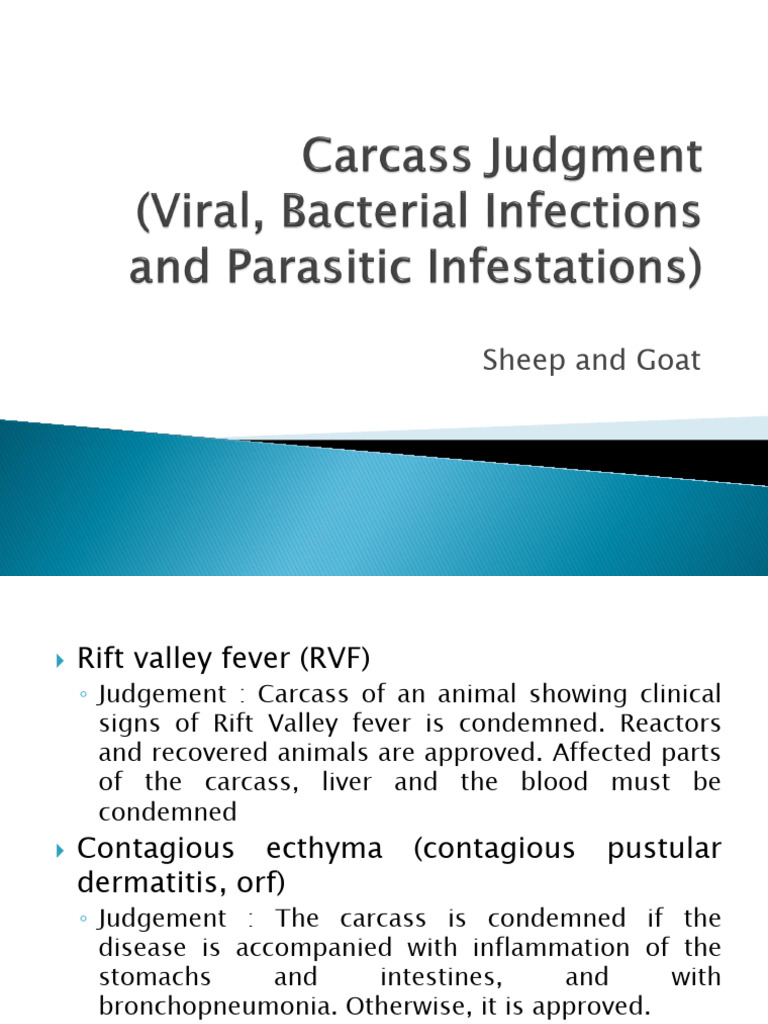 Meat Inspection of Sheep and Goat PROBLEMS | PDF | Microbiology ...